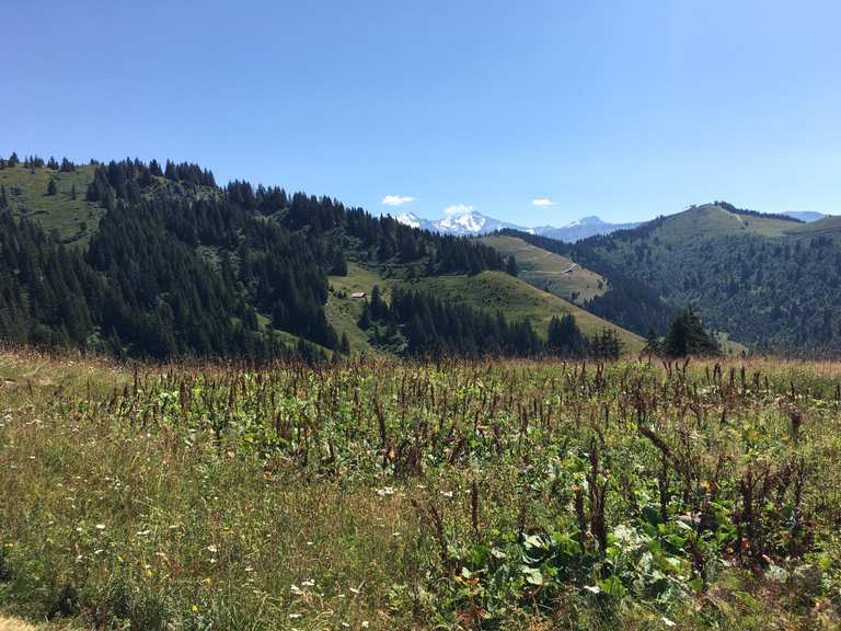 Croisse Baulet - Massif des Bauges - Boucle | hike | Komoot