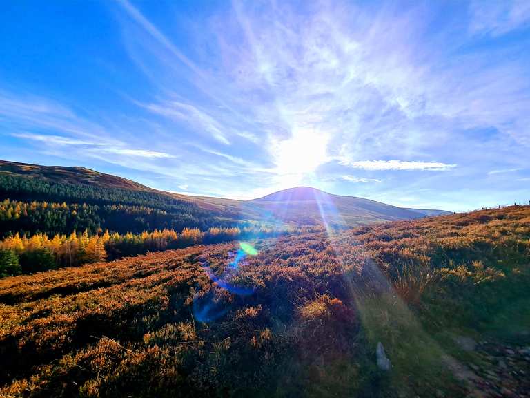 Carey Burn & Cold Law loop near Wooler — Northumberland National Park ...