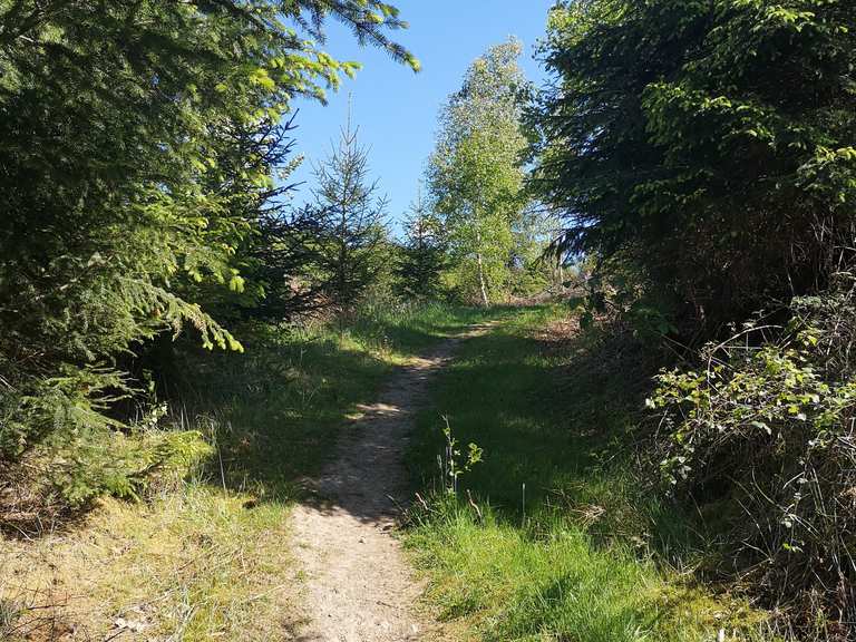 17% Steigung selbst mit E-Bike nicht zuschaffen: Mountainbike-Touren ...