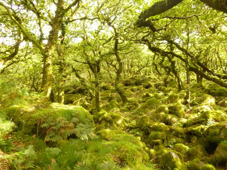 Piles Copse Routes for Walking and Hiking | Komoot