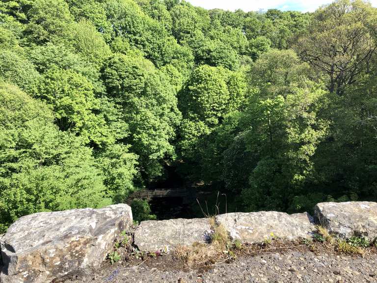 Causey Arch Routes for Walking and Hiking | Komoot