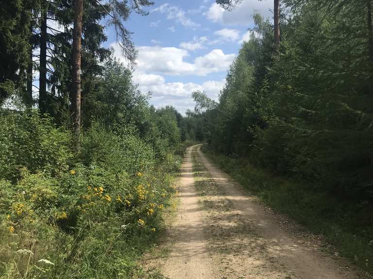 Etappe 1b: Von Schöneck nach Aue – Mulderadweg (Zwickauer Mulde ...