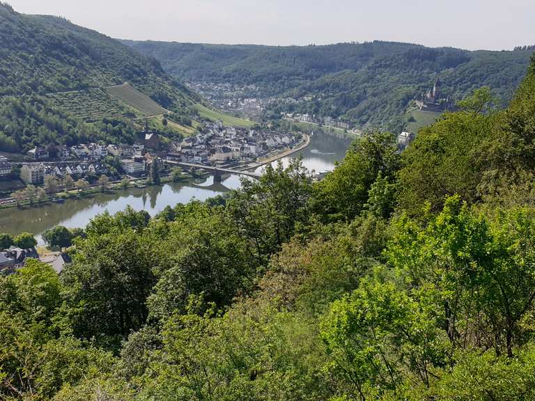Bergweg von Cochem zum Pinnerkreuz: Wanderungen und Rundwege | komoot
