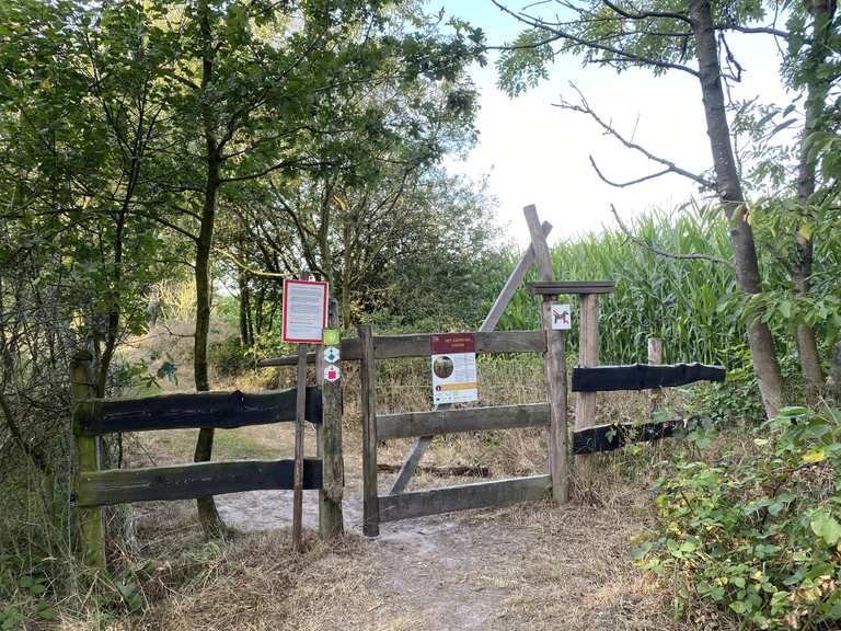 Tikkebroeken – Bruggetje Rode Loop Rondje vanuit Zwaneven | wandeling ...