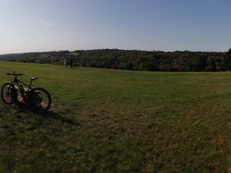 Riddlesdown Common - Mountain Bike Trails & Tracks | Komoot