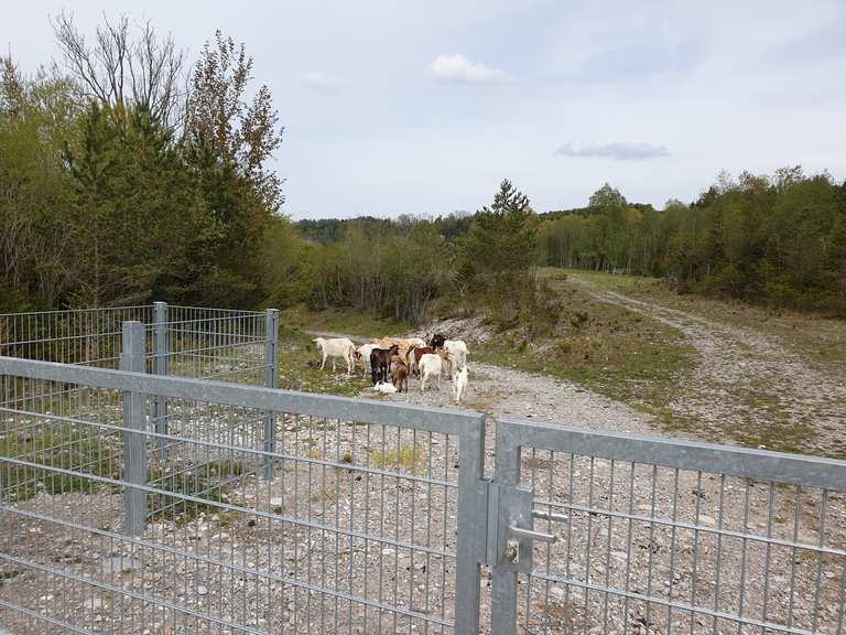 Lech Wehr bei Kinsau : Radtouren und Radwege | komoot
