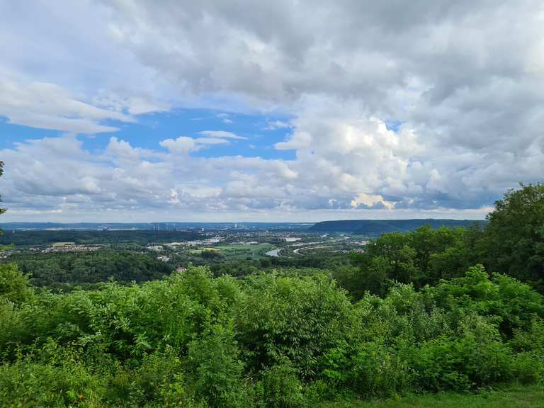 Fischerberg: Wanderungen und Rundwege | komoot