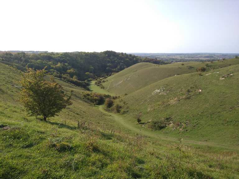 Barton Hills Routes for Walking and Hiking | Komoot