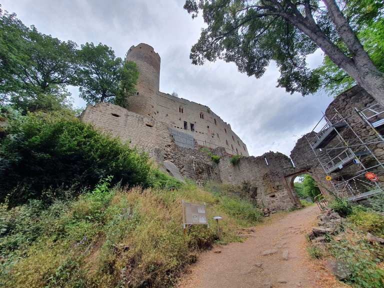 Château d'Andlau - Itinéraires de rando et marche | Komoot