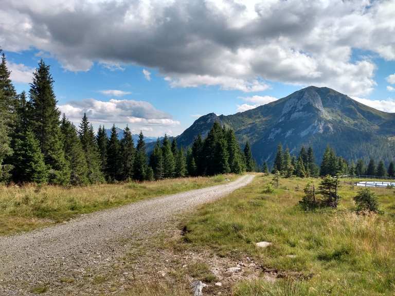 Passo del Cason di Lanza: Mountainbike-Touren und -Trails | komoot