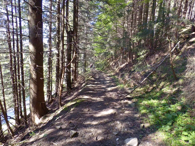 Blombergbahn Talstation Runde von Oberfischbach | Wanderung | Komoot