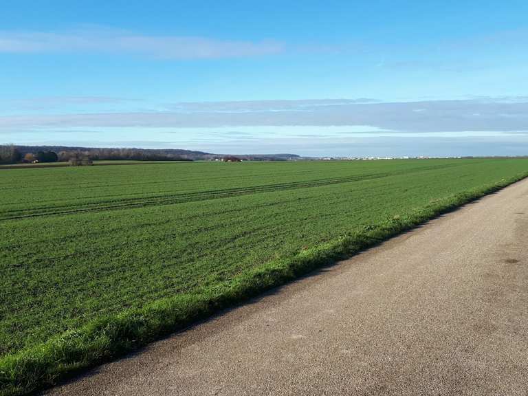 Allée royale de Villepreux - Itinéraires vélo et carte | Komoot