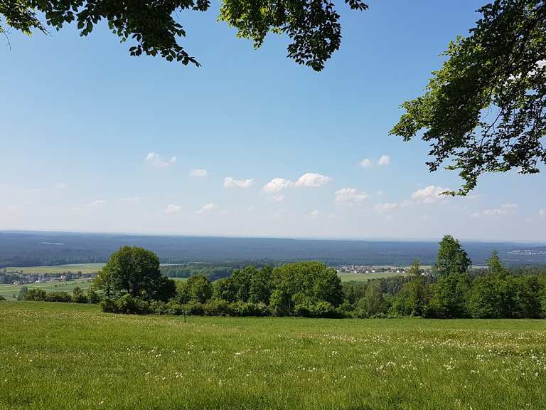Moritzberg – Berggasthof Moritzberg loop from Rockenbrunn | hike | Komoot
