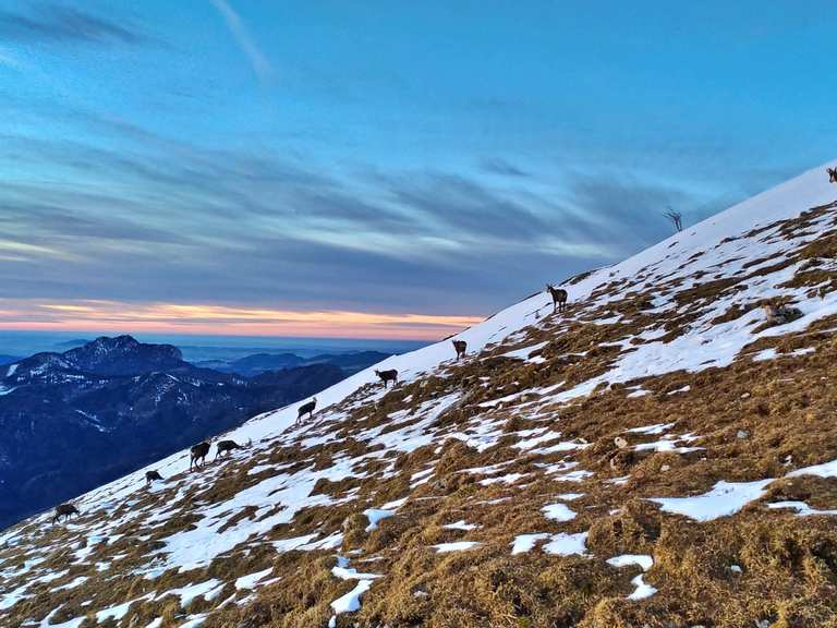 Schafberg Routes for Walking and Hiking | Komoot