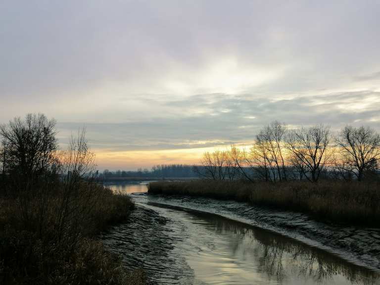 Scheldedijk Rupelmonde Routes for Walking and Hiking | Komoot