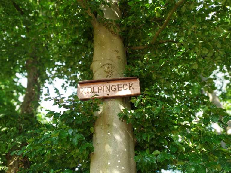 Kolping-Eck (Rastplatz): Wanderungen und Rundwege | komoot