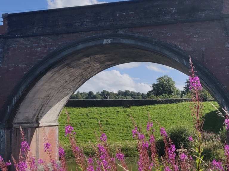 Gravel from Darnley to Balgray Cycle Routes and Map | Komoot