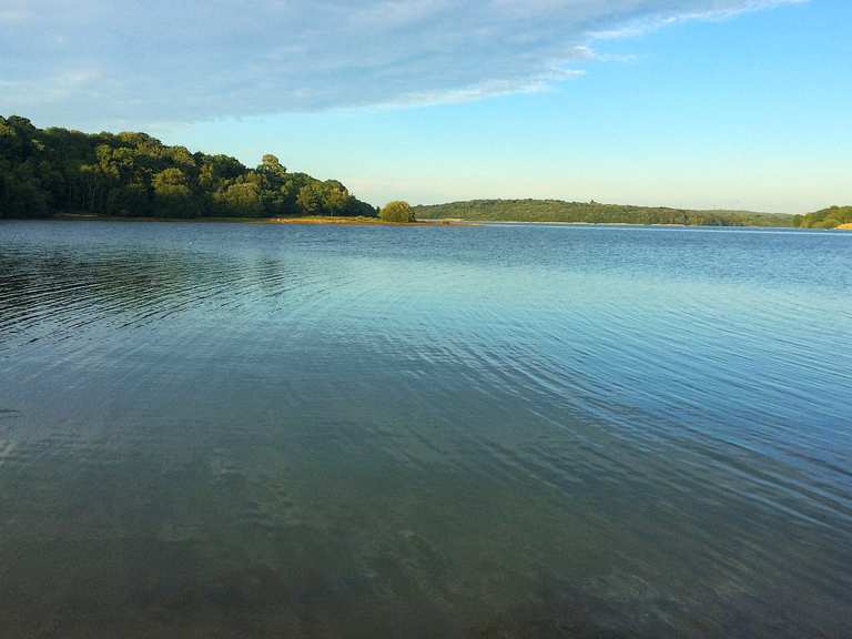 Beautiful walking around Bewl Water Routes for Walking and Hiking | Komoot