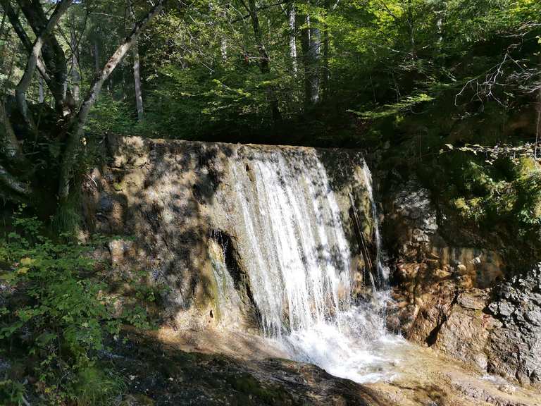Grüne Gumpe Routes for Walking and Hiking | Komoot