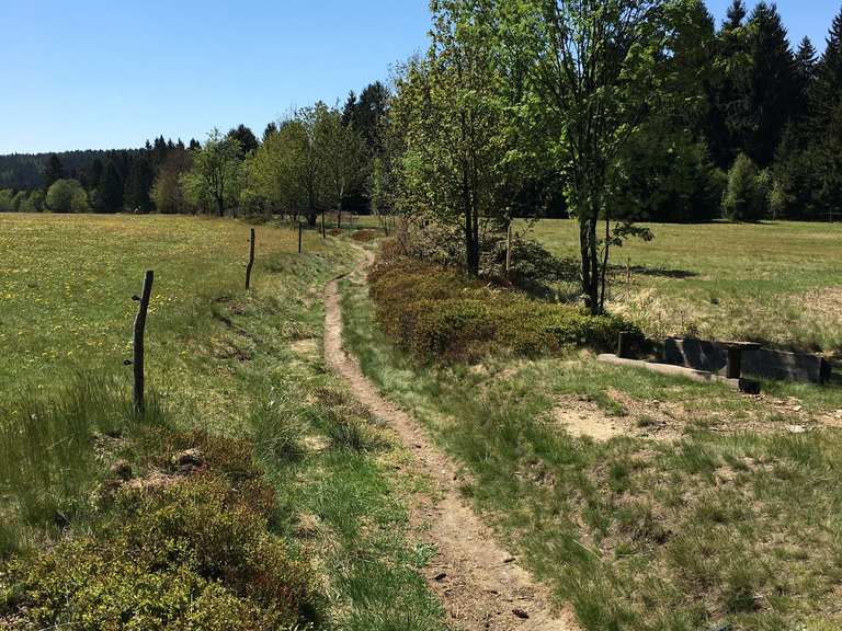 Rennsteig, good trail segment Mountain Bike Trails & Tracks | Komoot