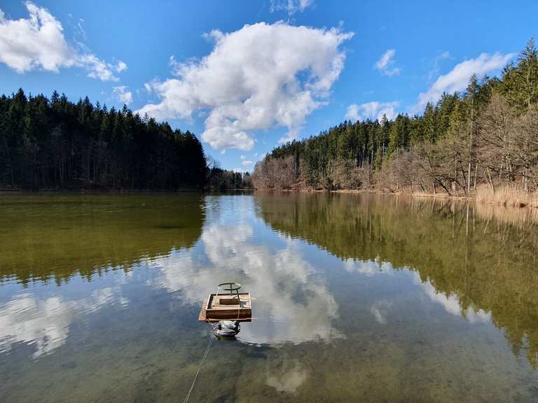 Thanninger Weiher Routes for Walking and Hiking | Komoot
