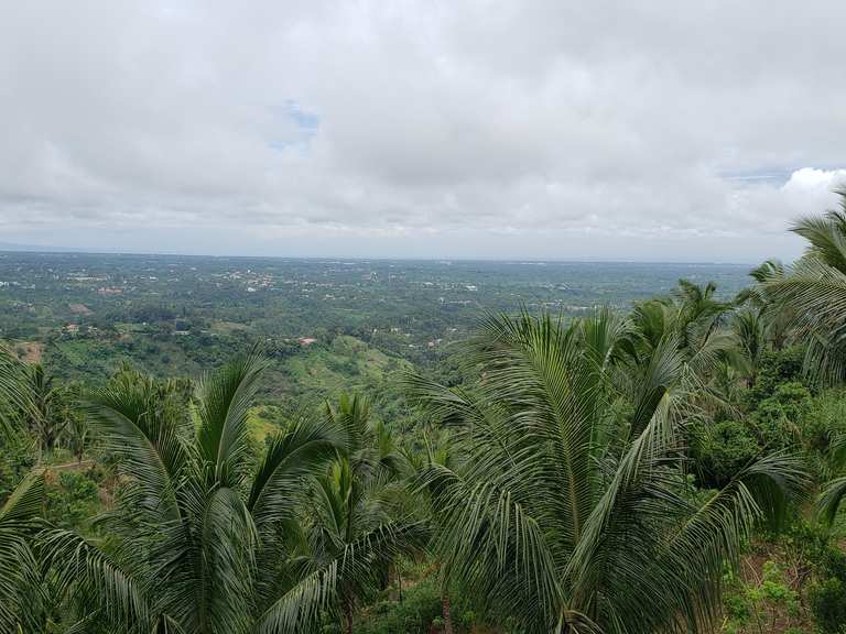 King of RevPal Climb - Cycle Routes and Map | Komoot