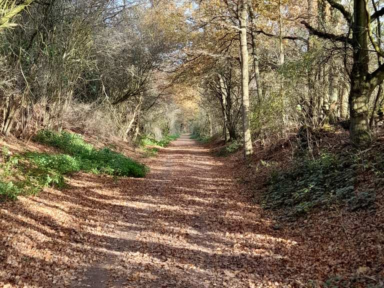 Cole Green Way (East to West) Cycle Routes and Map | Komoot