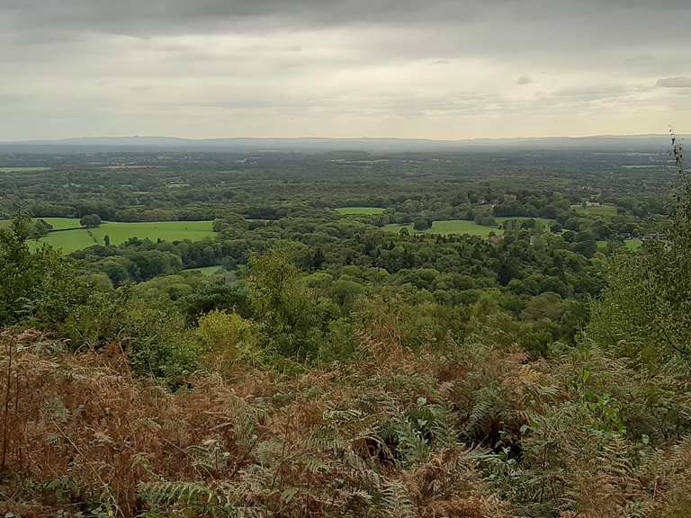 Pitch Hill Routes for Walking and Hiking | Komoot