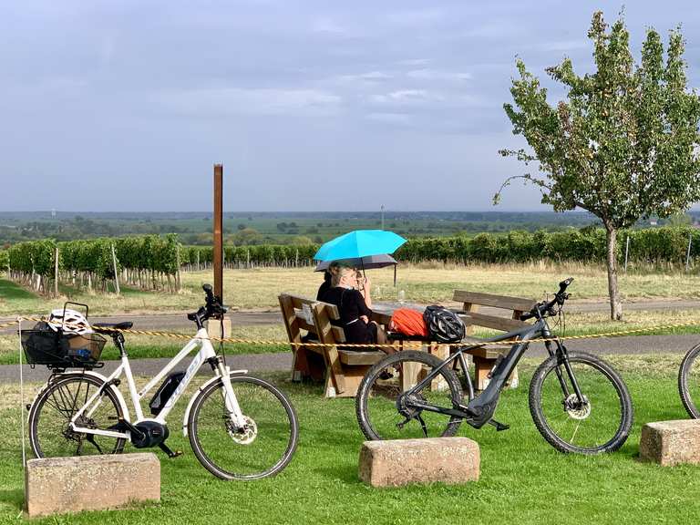 Der Mittelpunkt der Deutschen Weinstraße - Cycle Routes and Map | Komoot