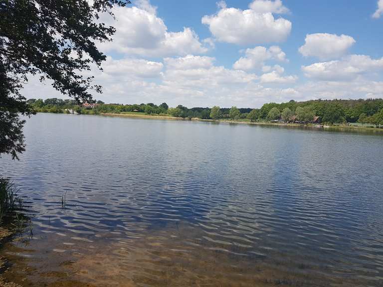 Strandhaus Grashof am Rothsee Routes for Walking and Hiking | Komoot