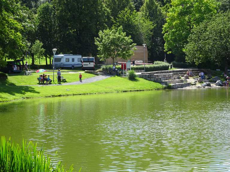 Elsenz See: Mountainbike-Touren und -Trails | komoot