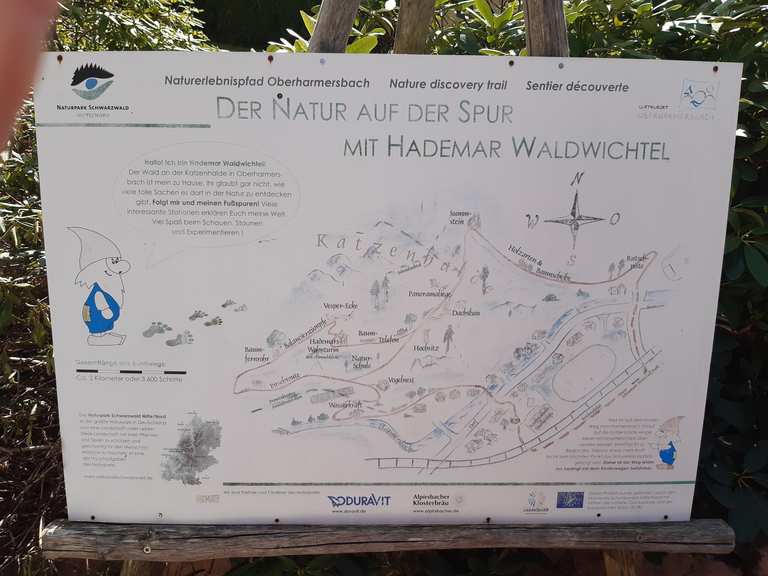 Oberharmersbach Natuurbelevenispad - wandelroutes en hikes | Komoot