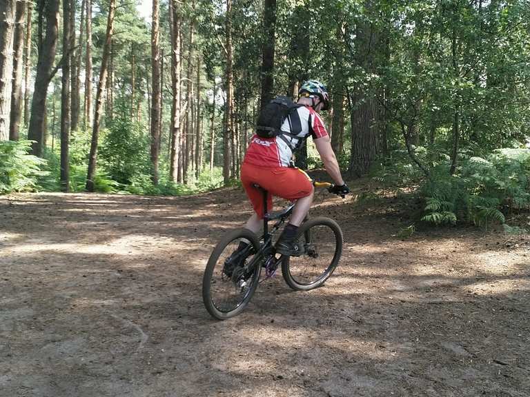 Longslade red trail at Woburn Bike Park - Mountain Bike Trails & Tracks ...