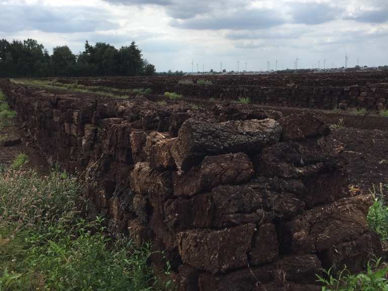 Torfabbau Campemoor Cycle Routes and Map | Komoot