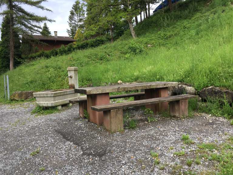 Hängebrücke Ebligen – Brunnen mit Trinkwasser Runde von Brienz West ...