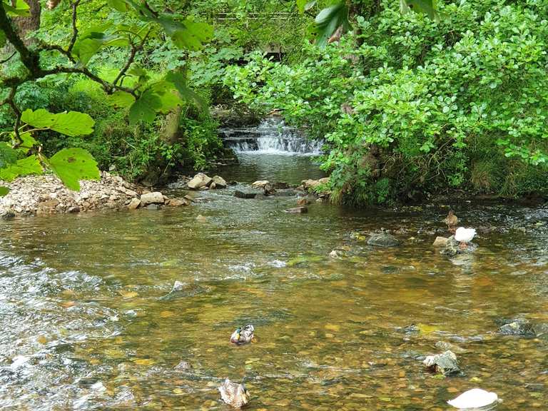 The Manifold Way Cycle Routes and Map | Komoot