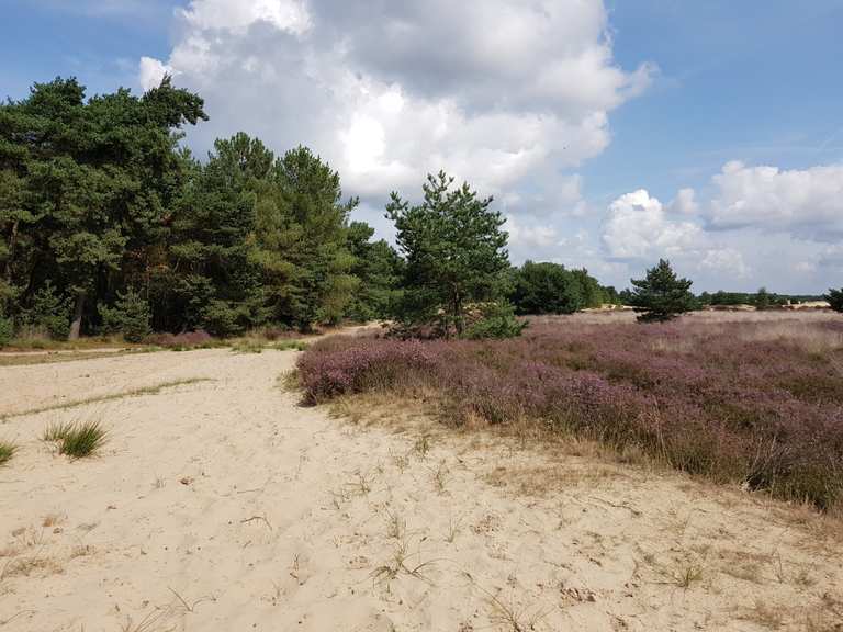 Over de zandduinen wandelroutes en hikes | Komoot