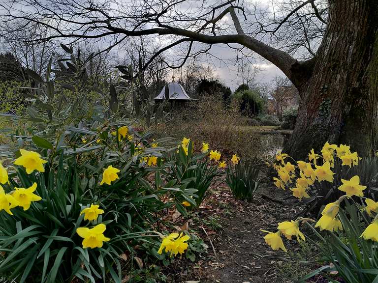Prinz-Emil-Garten: Wanderungen und Rundwege | komoot