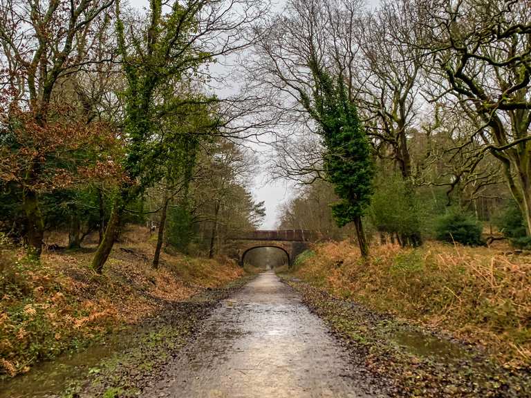 Castleman’s Corkscrew and Linford Bottom — New Forest trails | gravel ...