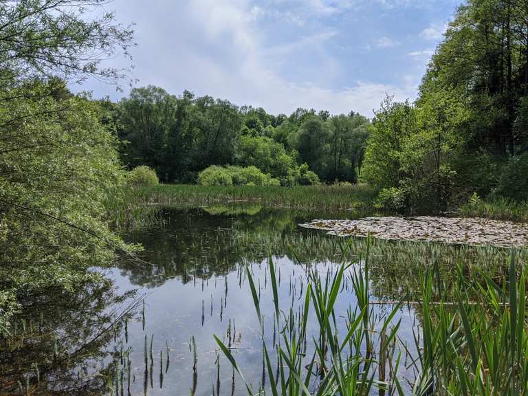 Park Aubinger Lohe – Blick auf die Ziegelweiher Runde von Lochhausen ...