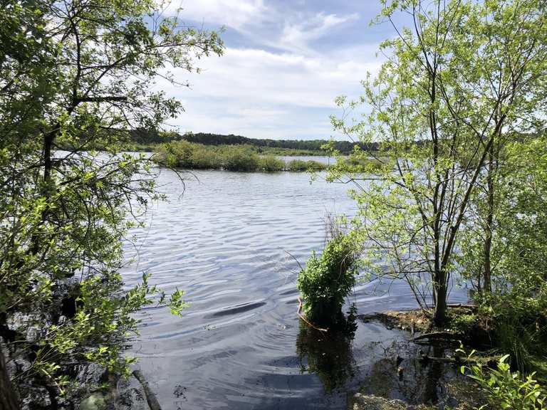 Blakemere Moss Routes for Walking and Hiking | Komoot