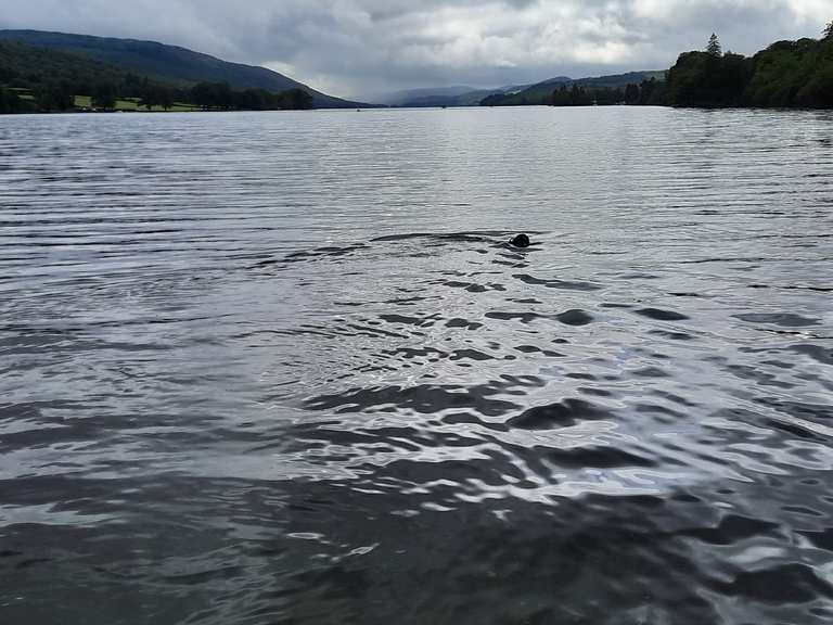 Coniston Beach Routes for Walking and Hiking | Komoot