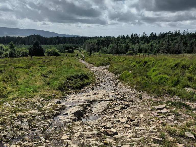 The road to hell — Sarn Helen Mountain Bike Trails & Tracks | Komoot