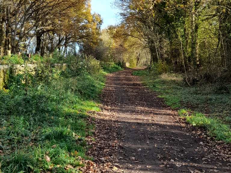 Cole Green Way (East to West) Cycle Routes and Map | Komoot