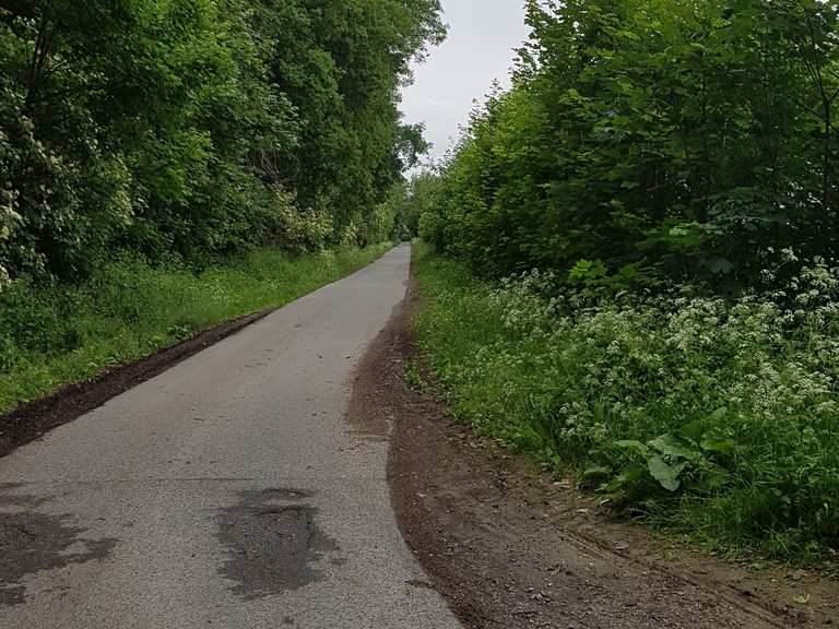 Steinbruch Geseke : Radtouren und Radwege | komoot