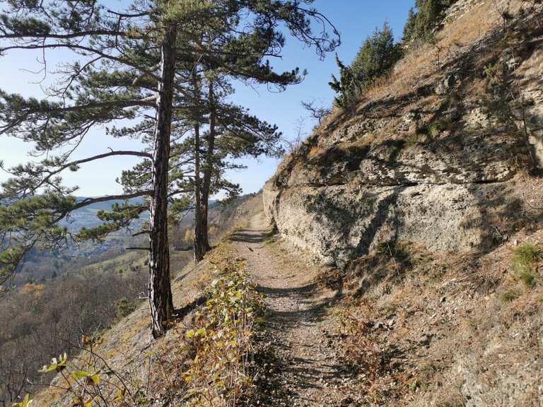 Schmaler Weg: Wanderungen und Rundwege | komoot