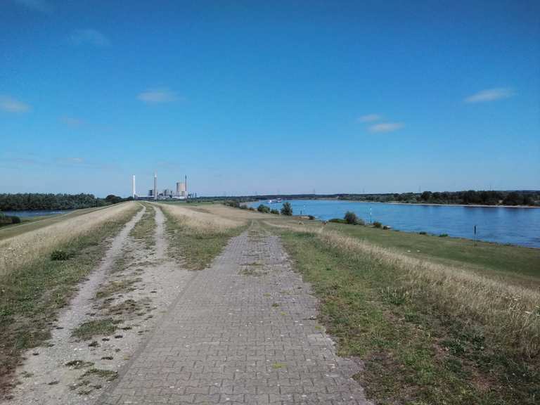 Rheindamm - Cycle Routes and Map | Komoot