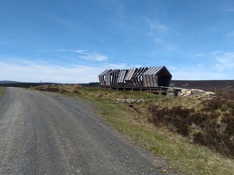 Kielder Forest Drive Cycle Routes and Map | Komoot