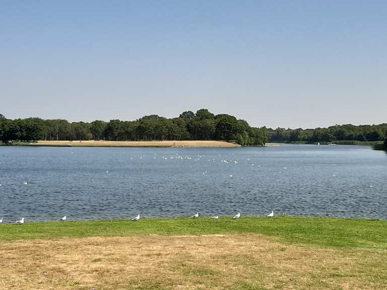Het Rutbeek Freizeitsee fietsroutes en kaart | Komoot