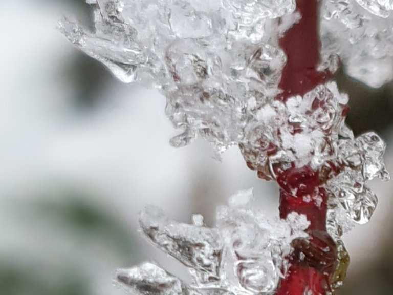 Kleinsee Routes for Walking and Hiking | Komoot